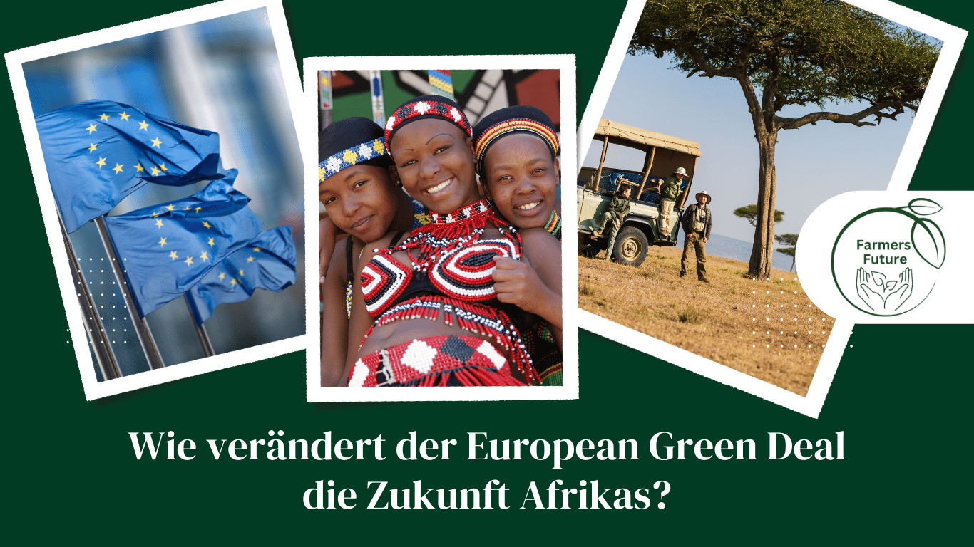 Wie verändert der European Green Deal die Zukunft Afrikas? - Akopjan Health